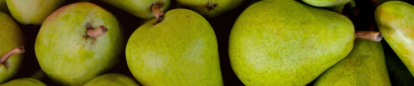 About the FLW Protocol - Food Loss and Waste Protocol